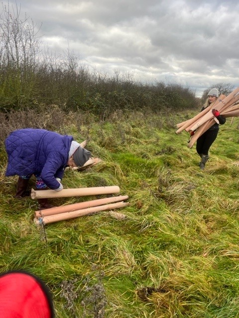 Growing Good Vibes: Sphere Solutions' Annual Tree Planting Bash at Co ...